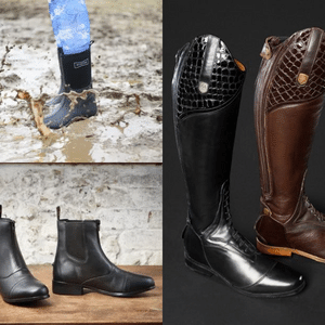 What's New on Tack of the Day